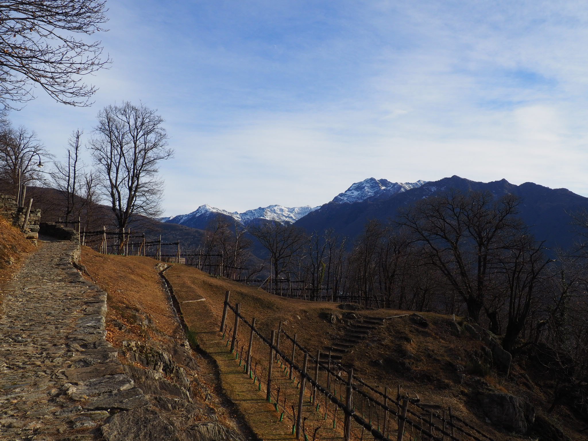 In search of a bridge in Bellinzona – Alea Around the World